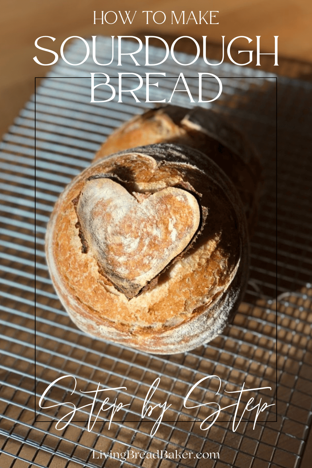 Sourdough Bread: 10 Signs of a Good Bake (How-to Guide) - Living Bread ...