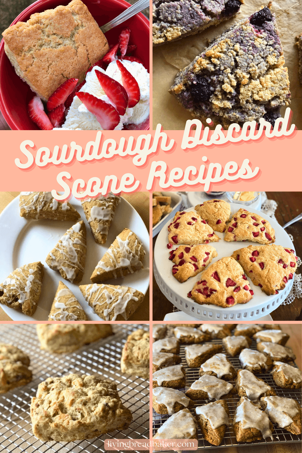 Best Sourdough Discard Raspberry Vanilla Scones - Living Bread Baker