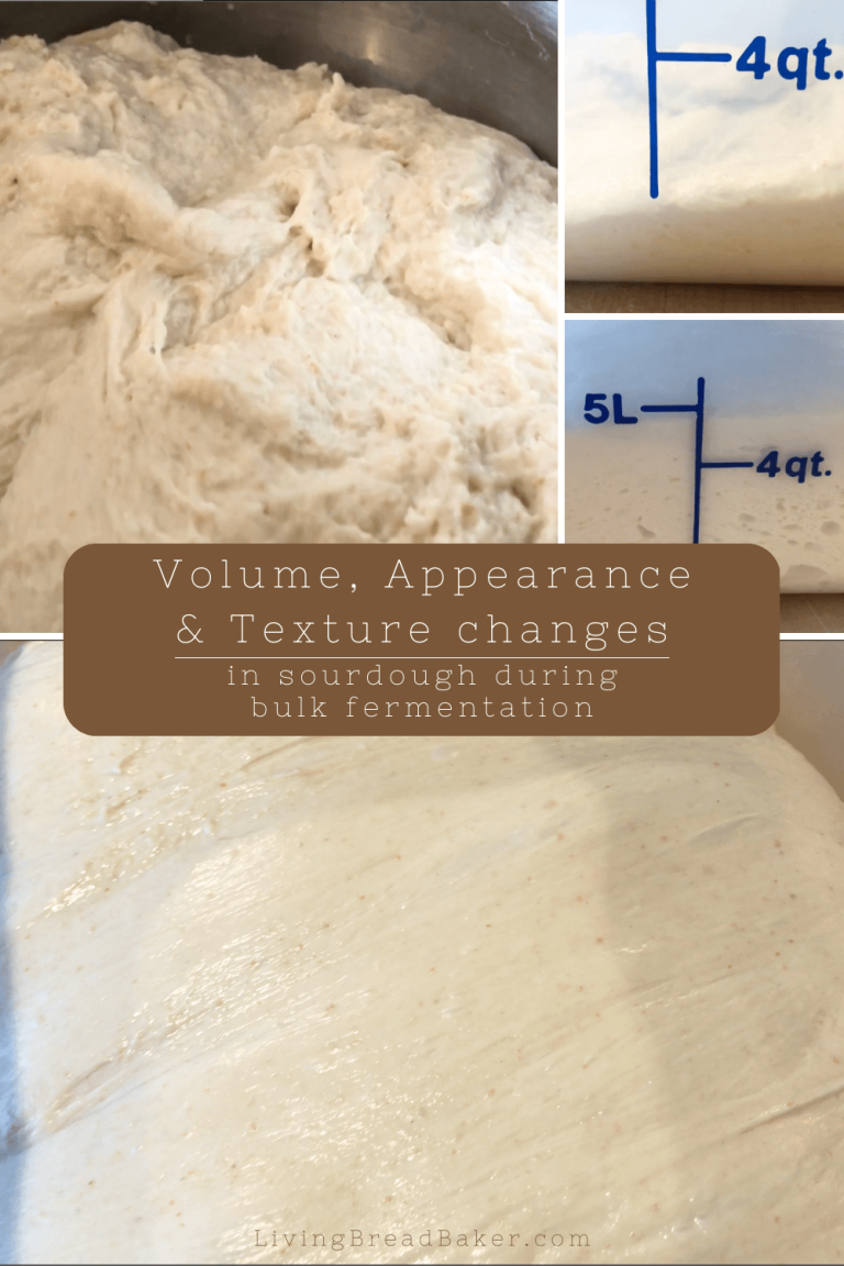 How to tell when sourdough bulk fermentation is done - Living Bread Baker