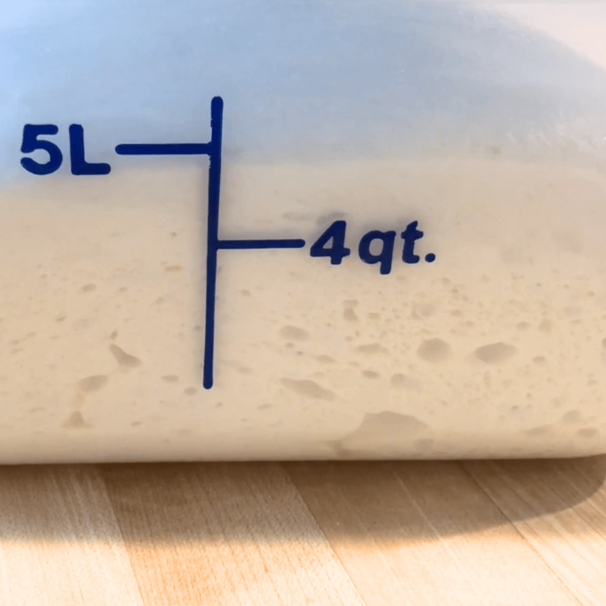 Beginner's Guide to the Sourdough Bread Baking Process - Living Bread Baker