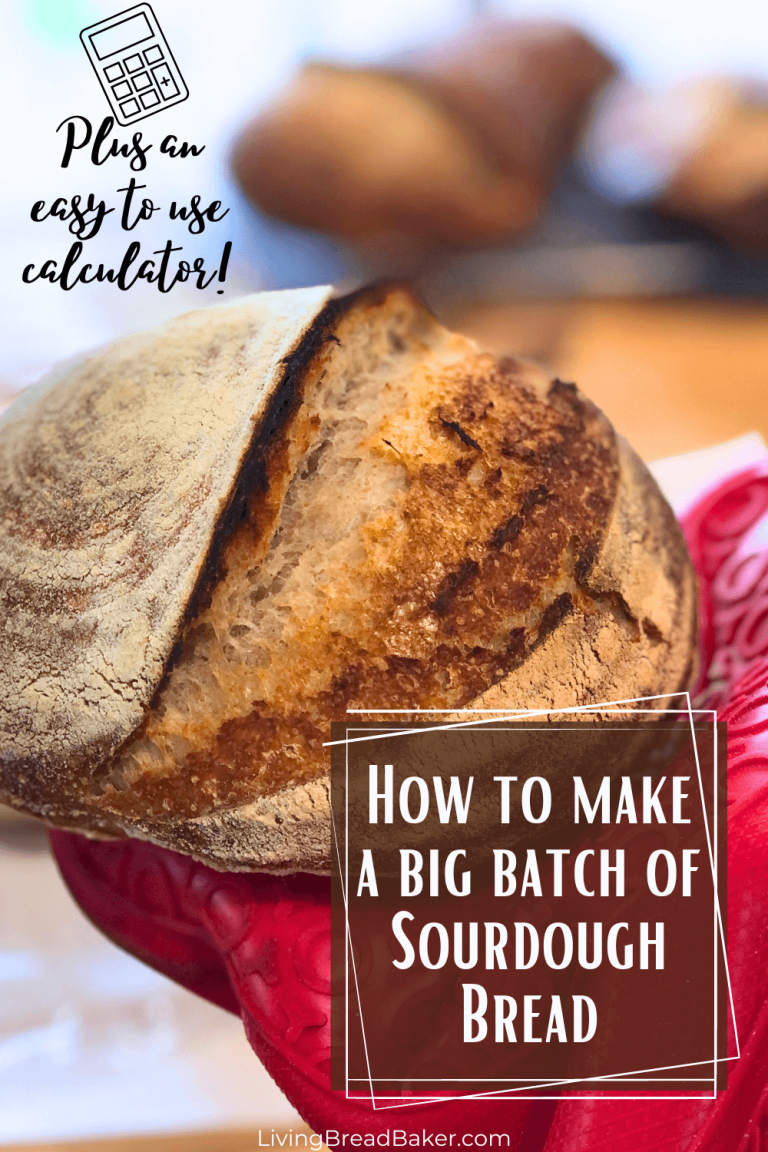 How to Make a Big Batch of Sourdough Bread (Calculator) - Living Bread ...