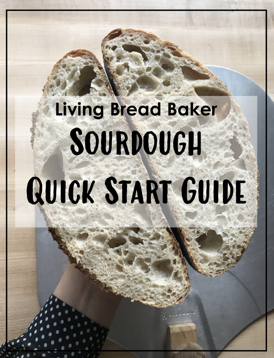 How to Store Sourdough Discard for Starter Discard Recipes - Living ...