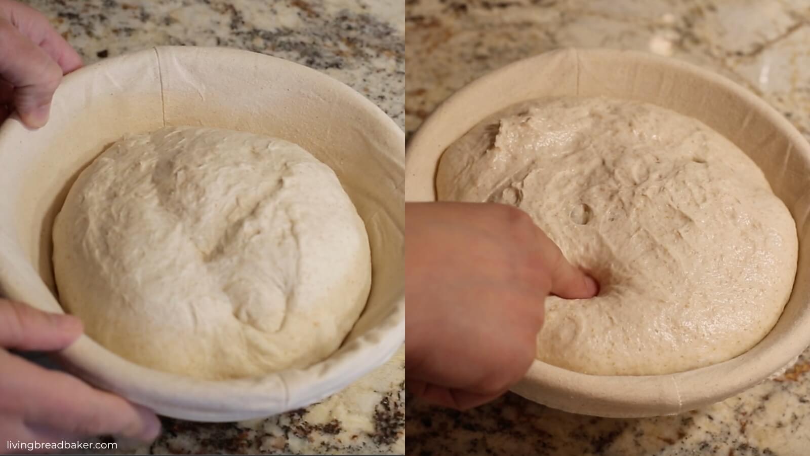 When is sourdough finished proofing? The signs and a test - Living ...