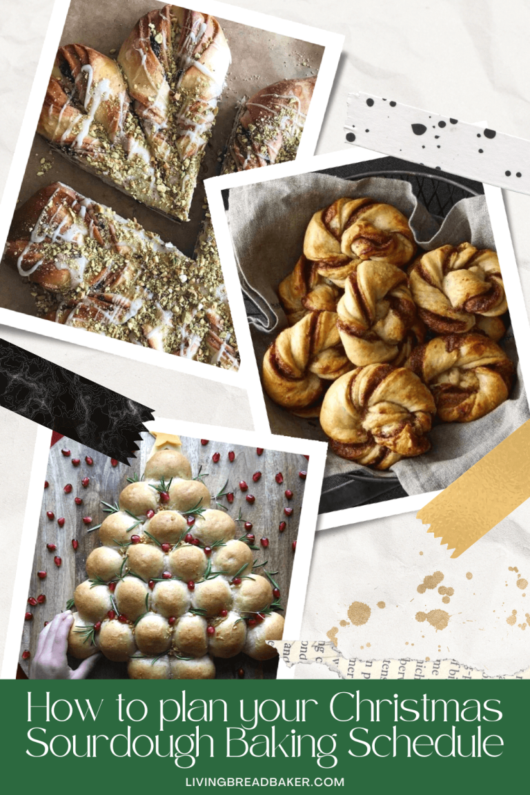 How to Plan Your Christmas Sourdough Baking Schedule - Living Bread Baker