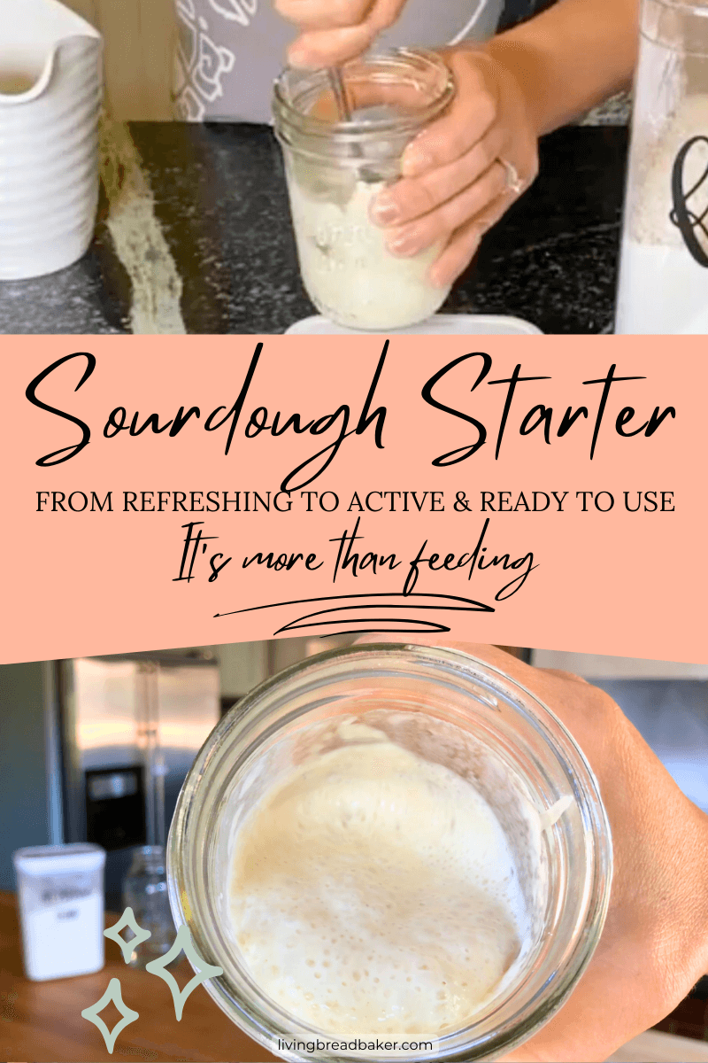 How to Know When your Sourdough Starter is Ready (8 signs) - Living ...