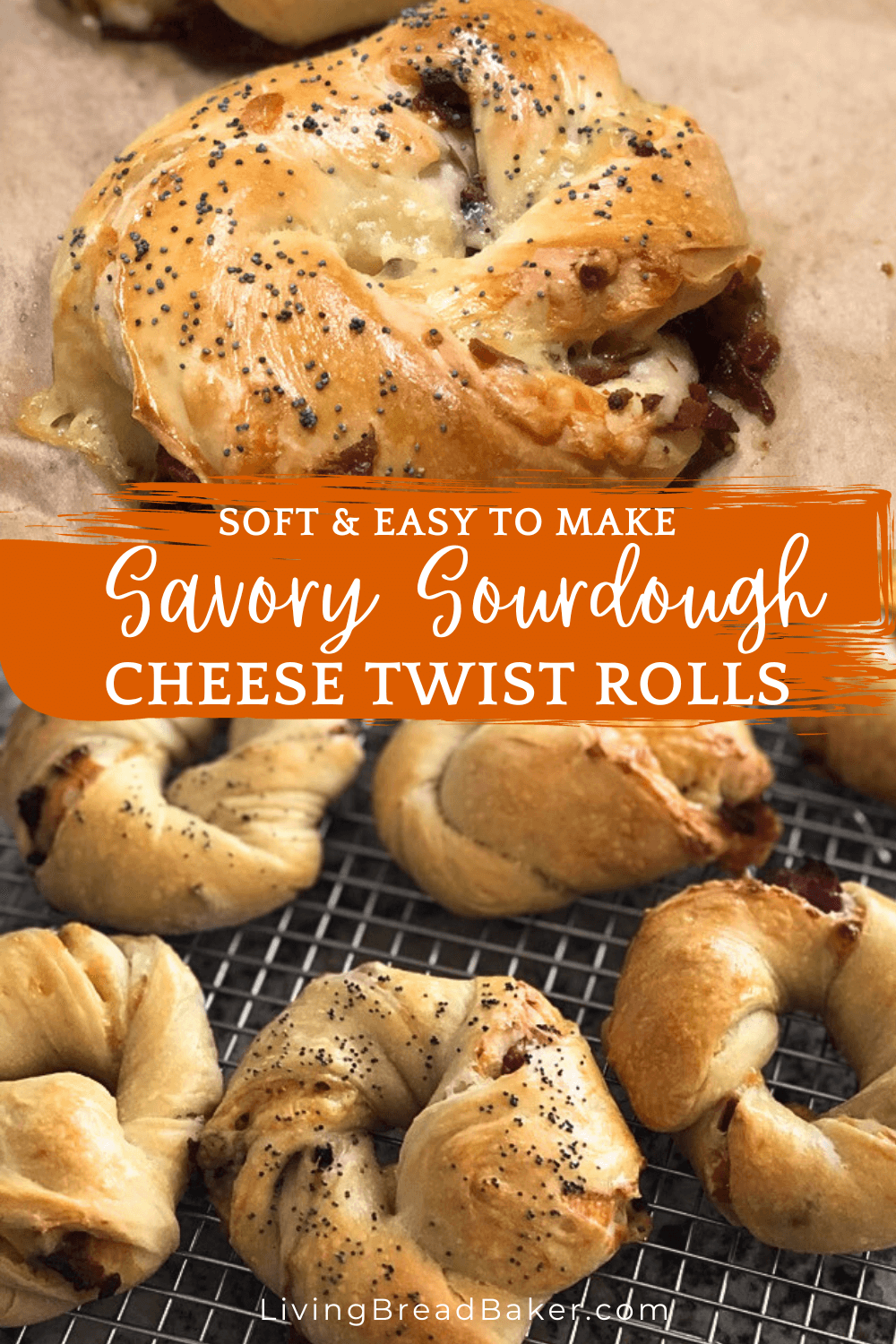 Easy & Soft Savory Sourdough Cheese Twist Rolls - Living Bread Baker