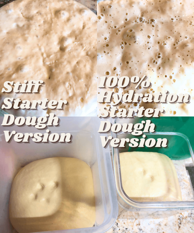Stiff Sourdough Starter vs Liquid 100% Hydration - Living Bread Baker