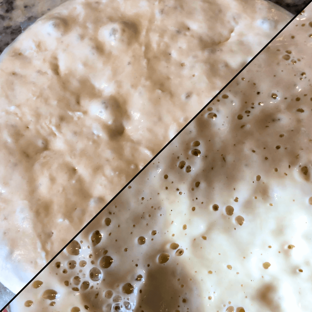 How to Know When your Sourdough Starter is Ready (8 signs) - Living ...