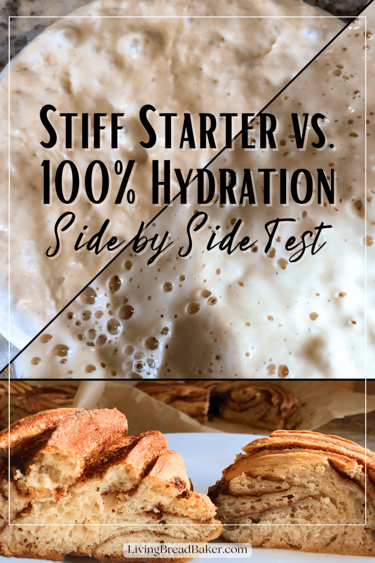 Stiff Sourdough Starter vs Liquid 100% Hydration - Living Bread Baker