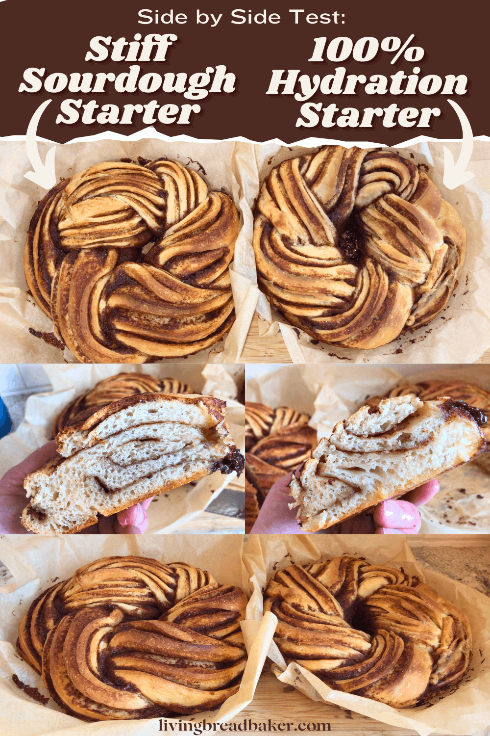 Stiff Sourdough Starter vs Liquid 100% Hydration - Living Bread Baker