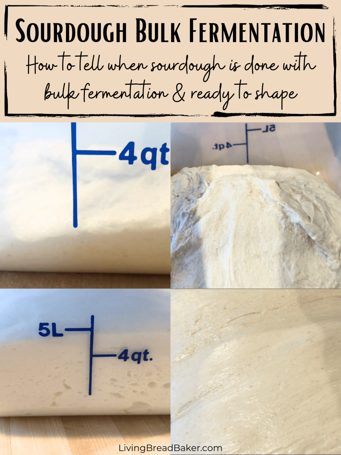 Sourdough Apple Cinnamon Spice Country Bread (Boule) Recipe - Living ...