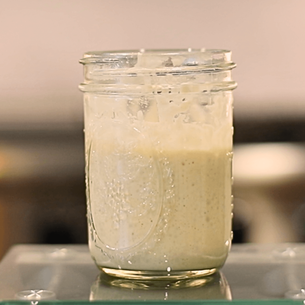 What does a 100% Hydration Sourdough Starter mean? - Living Bread Baker
