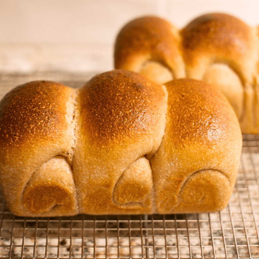 Recipes - Living Bread Baker