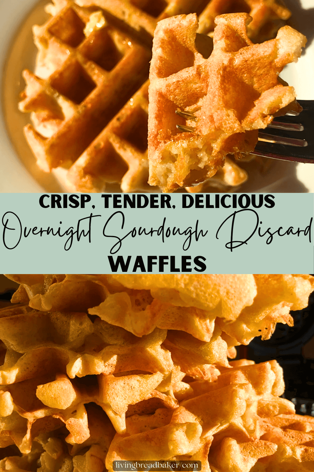 Easy Overnight Sourdough Waffles (Discard Sponge Method) - Living Bread ...