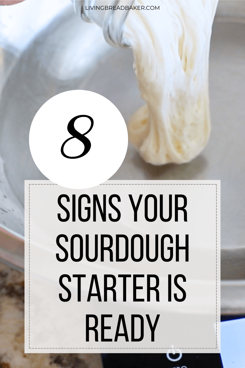 How to Know When your Sourdough Starter is Ready (8 signs) - Living ...