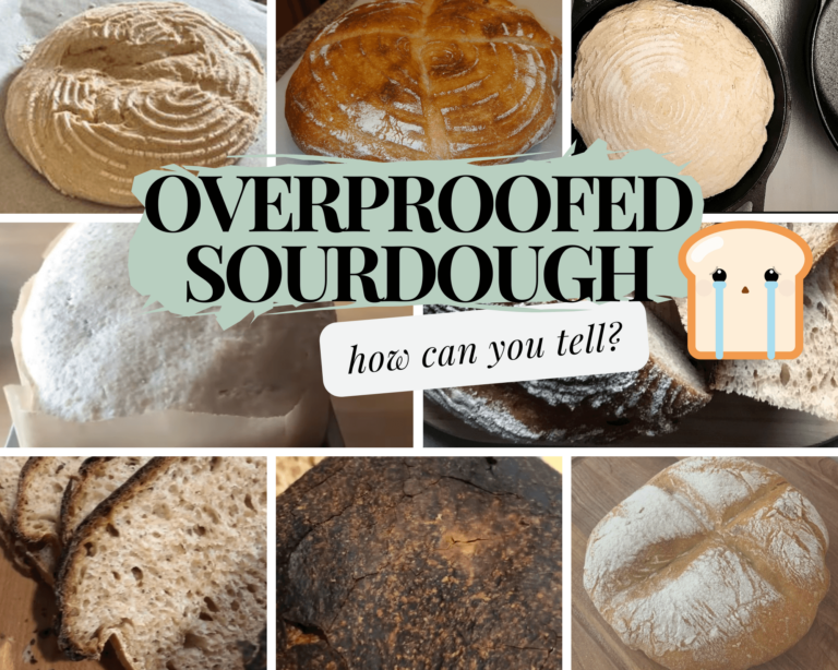 What does overproofed sourdough bread (or dough) look like? - Living ...