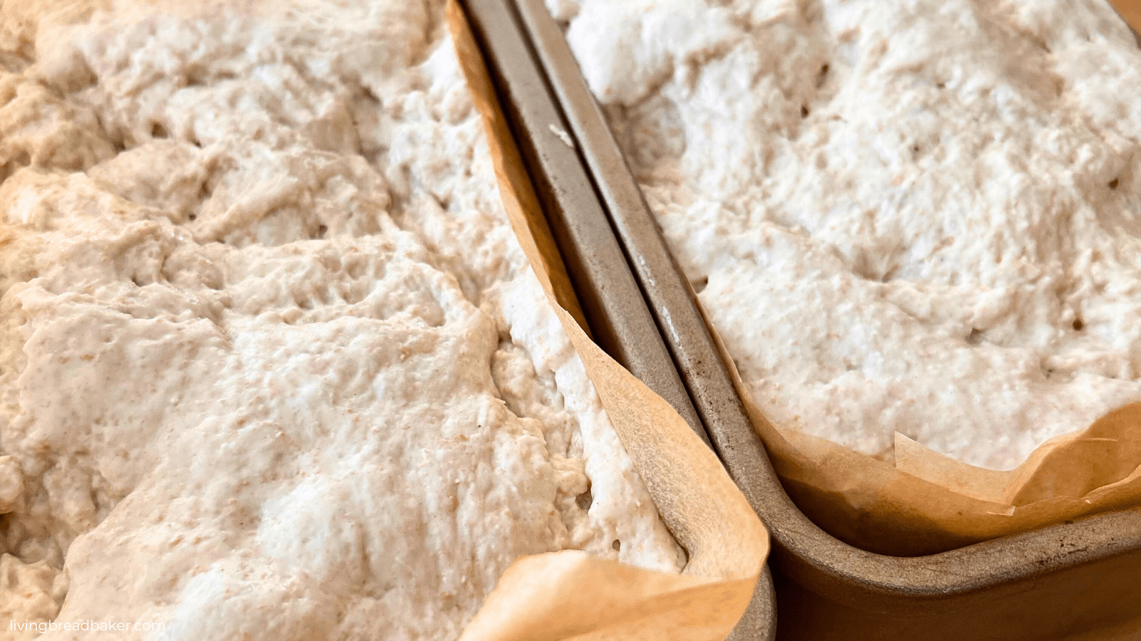 What does overproofed sourdough bread (or dough) look like? - Living ...