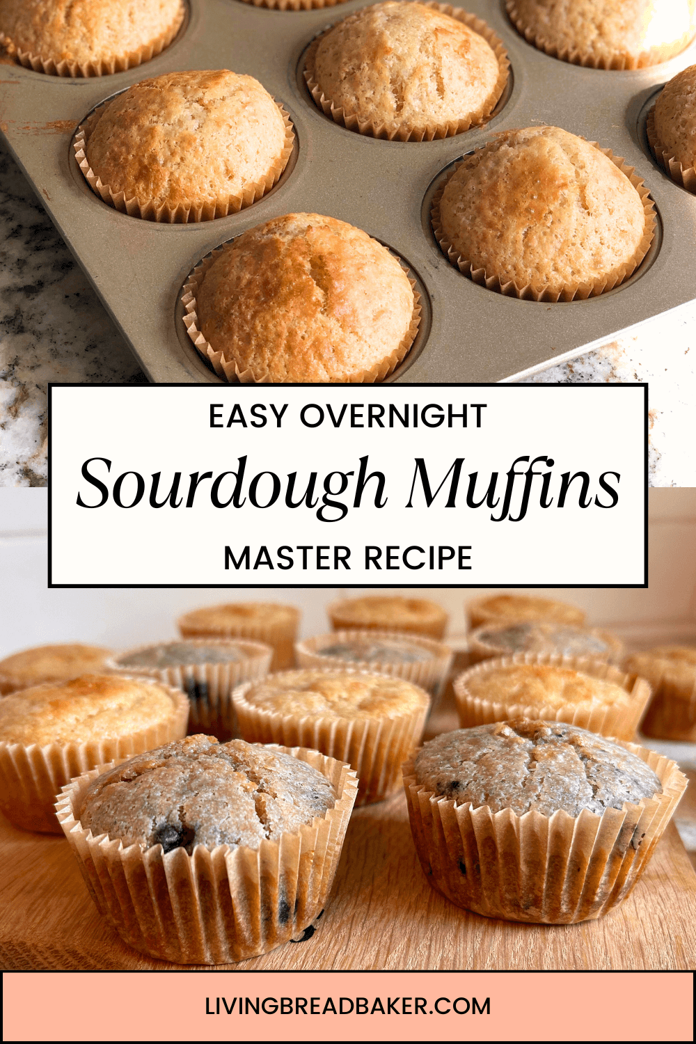 Easy Overnight Sourdough Muffins MASTER Recipe - Living Bread Baker