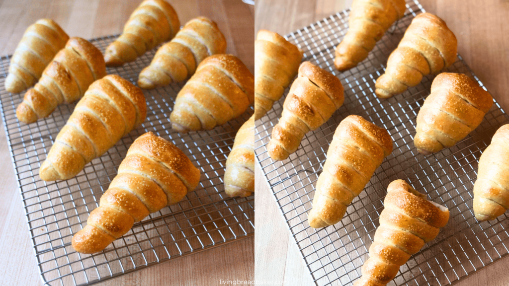 Sourdough Cone-Shaped Rolls Recipe – Perfect for Appetizers! - Living ...