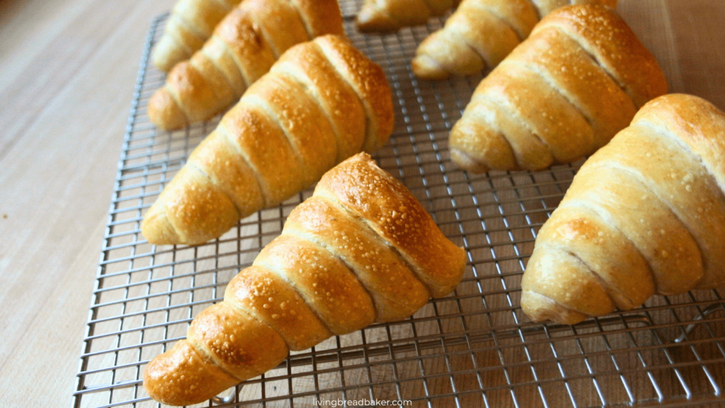 Sourdough Cone-Shaped Rolls Recipe – Perfect for Appetizers! - Living ...