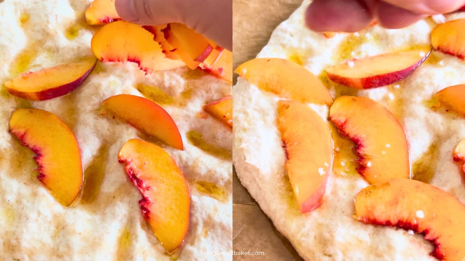 How to Turn Overproofed Sourdough into Focaccia - Living Bread Baker