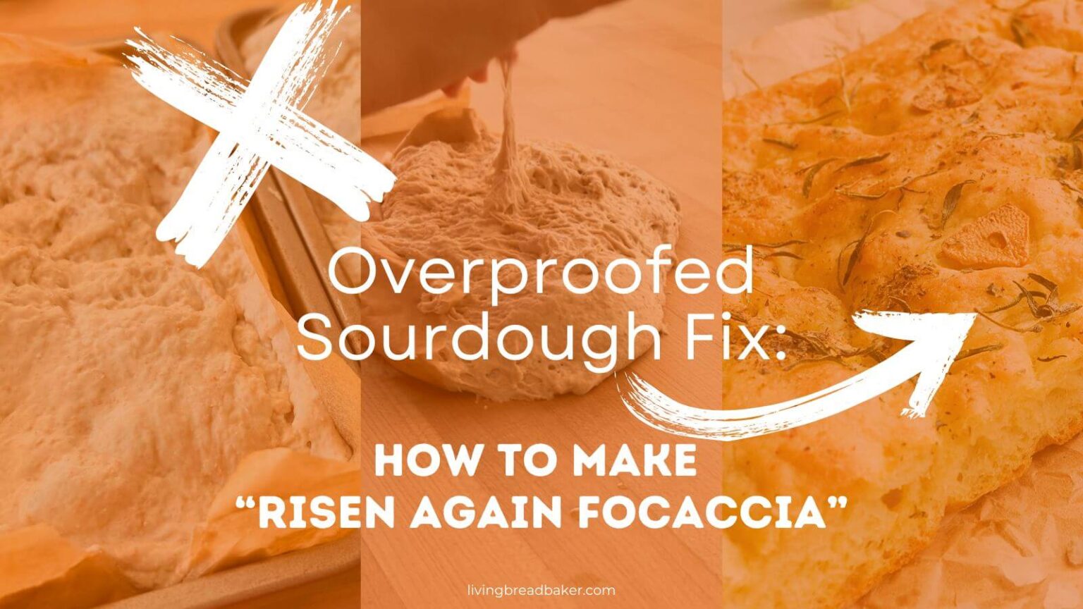 What does overproofed sourdough bread (or dough) look like? - Living ...