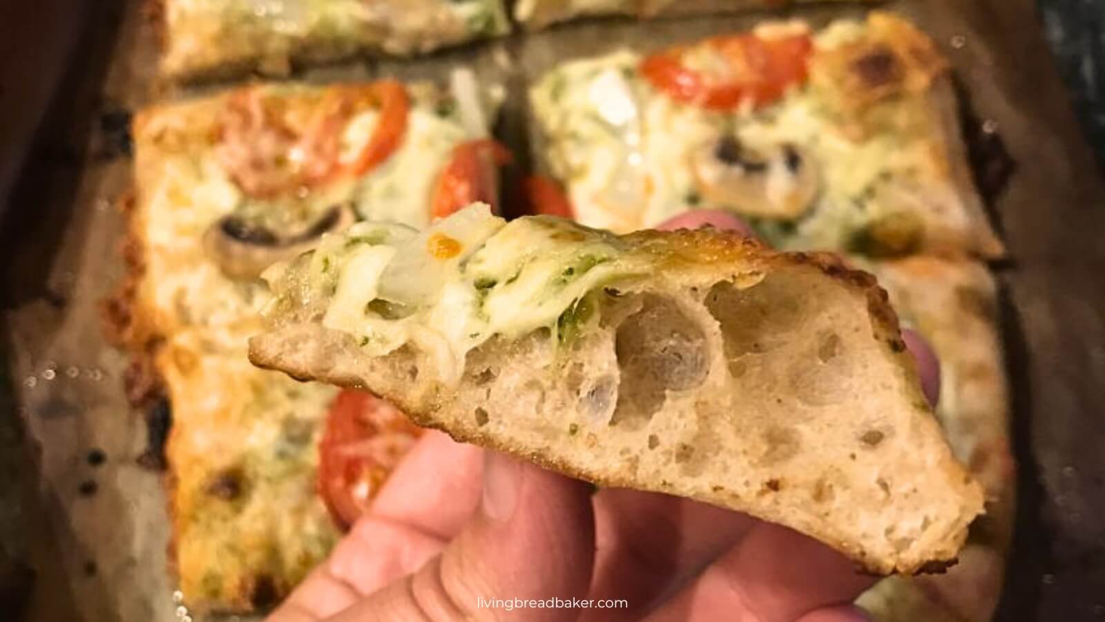 How to Turn Overproofed Sourdough into Focaccia - Living Bread Baker