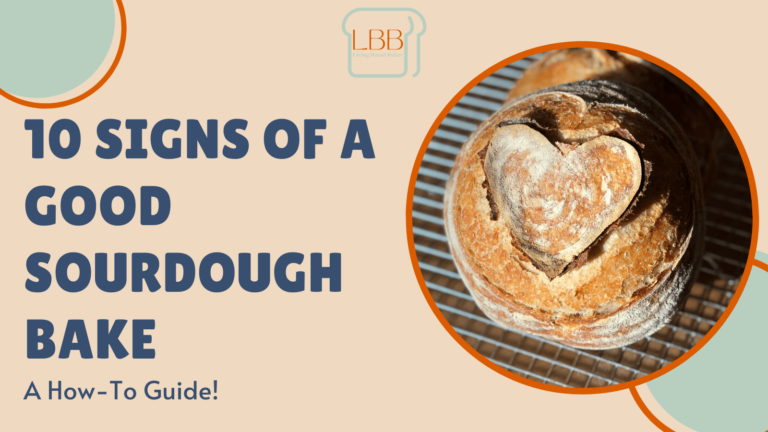 Sourdough Bread: 10 Signs of a Good Bake (How-to Guide) - Living Bread ...
