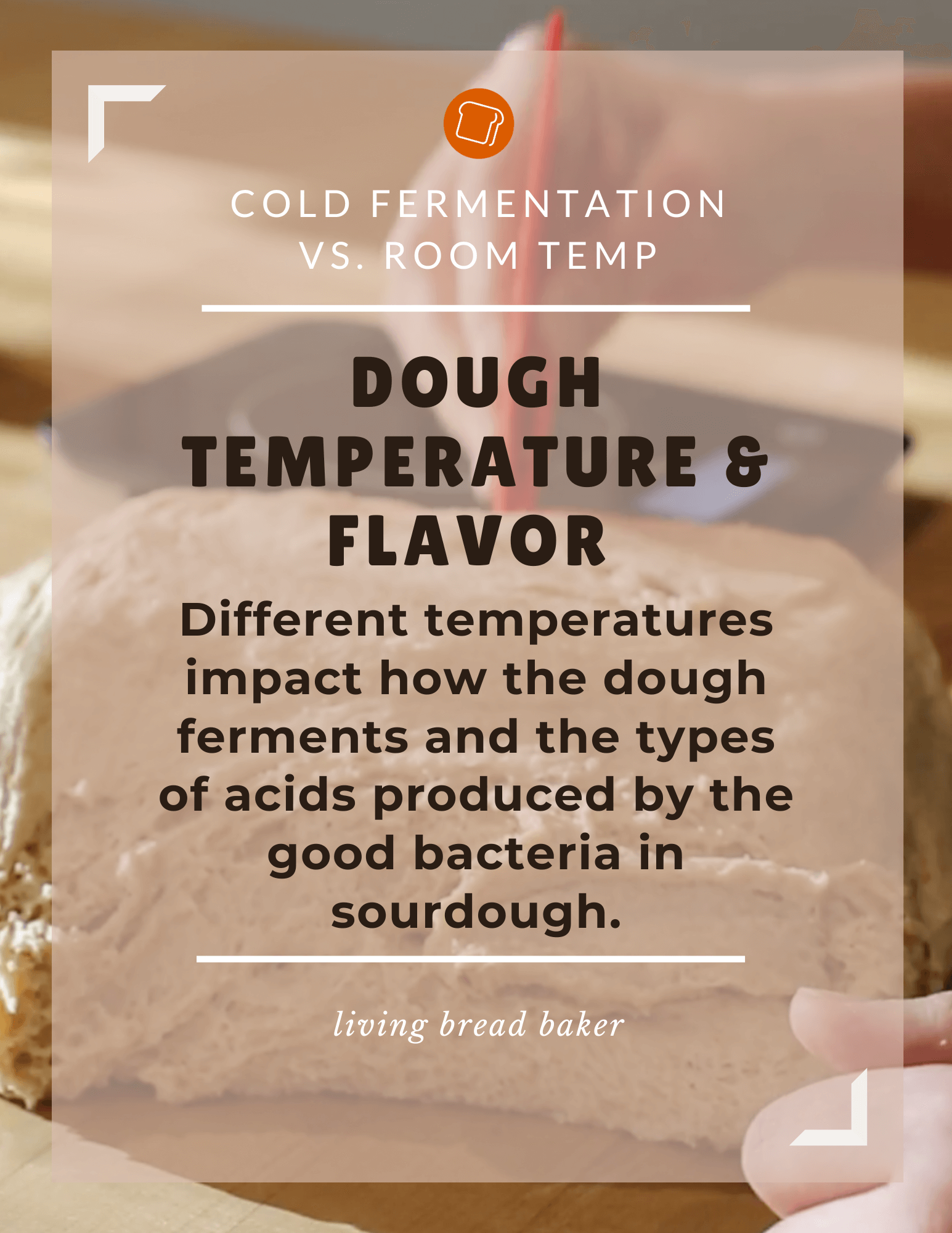 Cold Fermentation vs Room Temperature: Which Is Better? - Living Bread ...