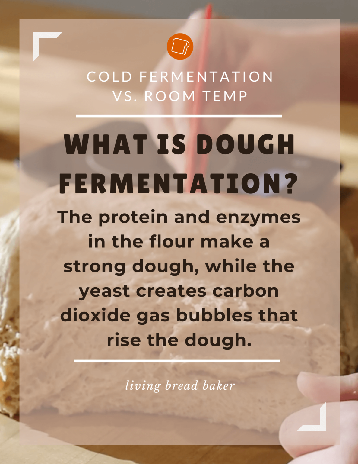 Cold Fermentation vs Room Temperature: Which Is Better? - Living Bread ...