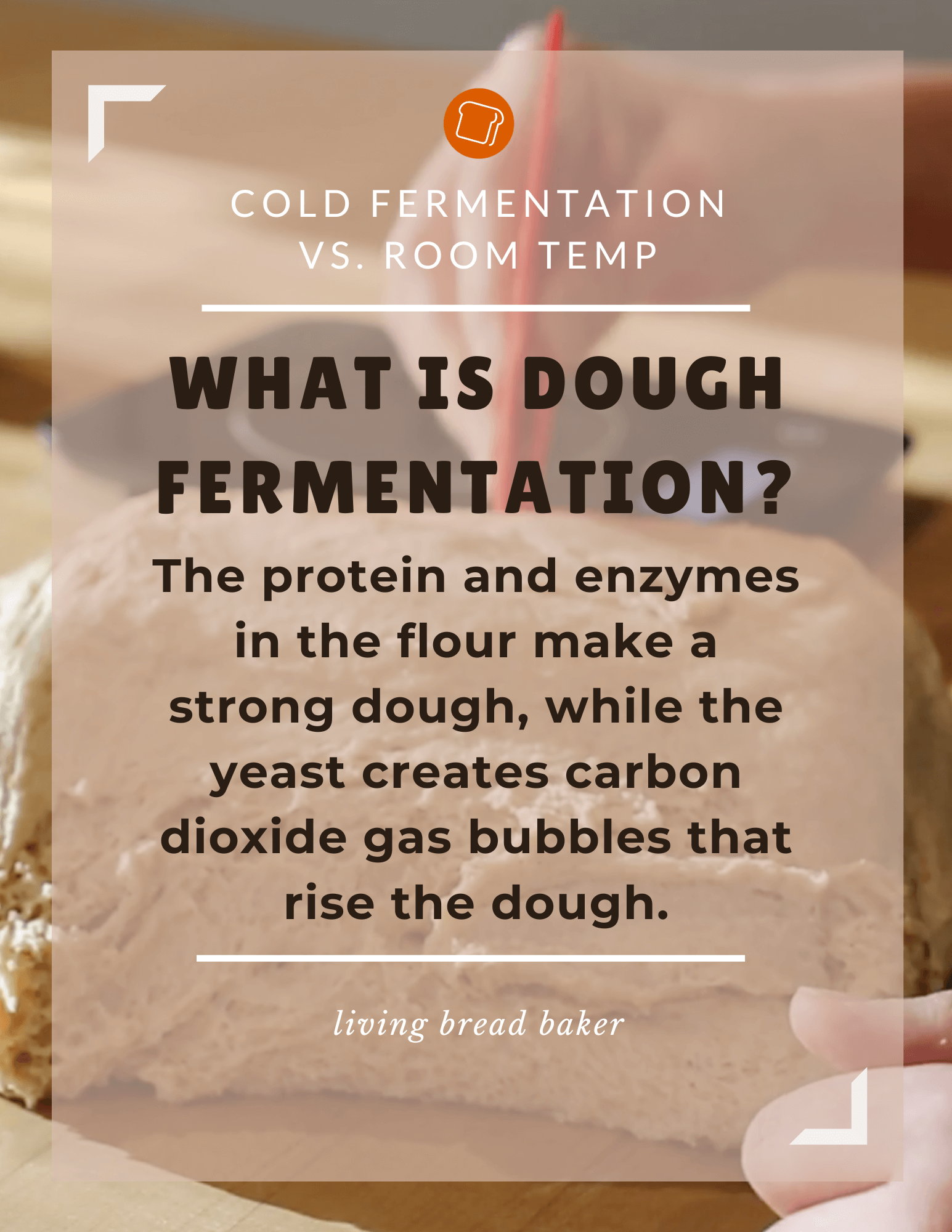 Cold Fermentation vs Room Temperature: Which Is Better? - Living Bread ...