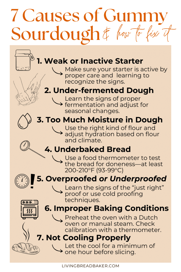 Why Is My Sourdough Bread Gummy? 7 Causes and How to Fix Them - Living Bread Baker