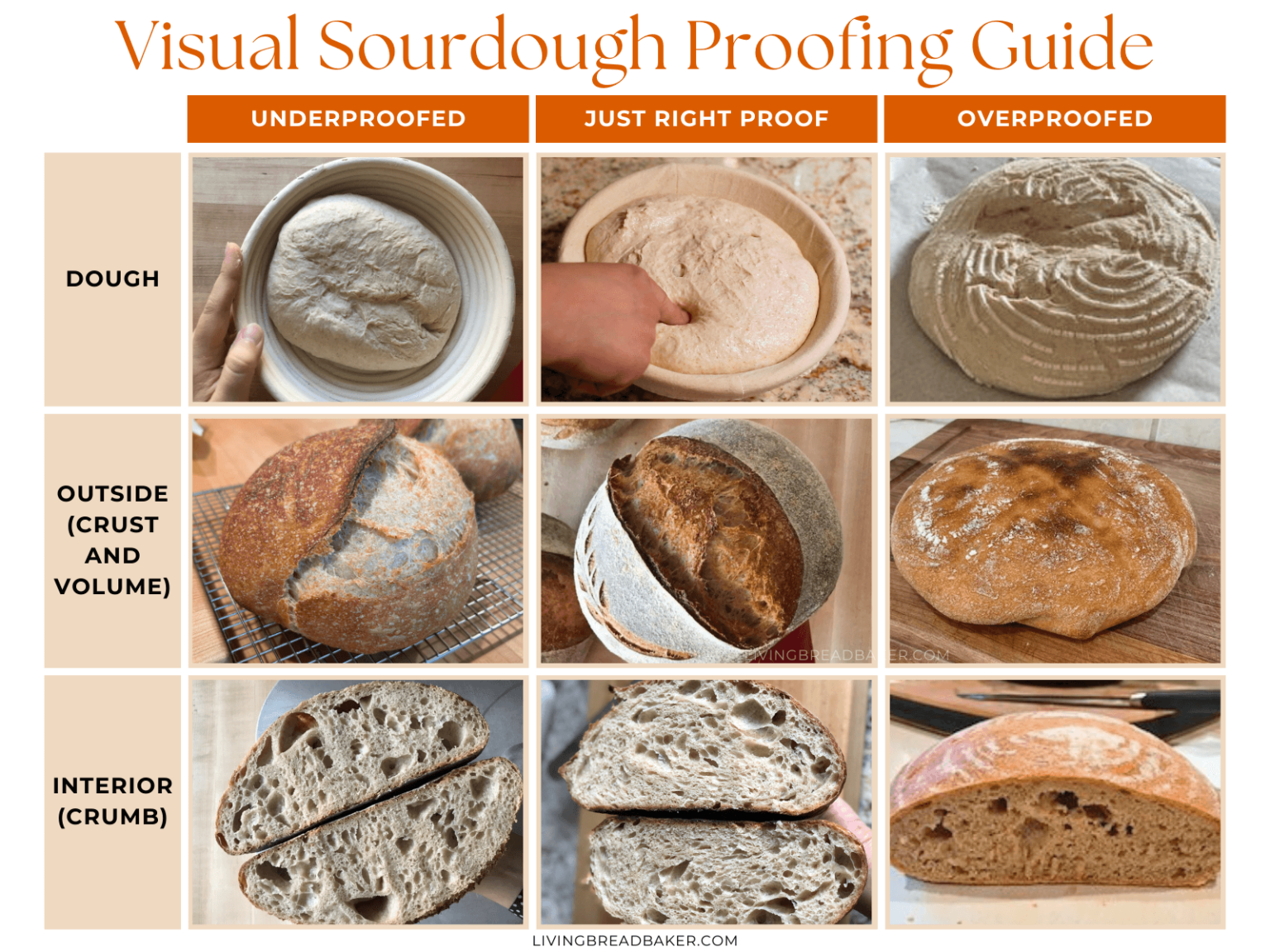 When is sourdough finished proofing? The signs and a test - Living ...
