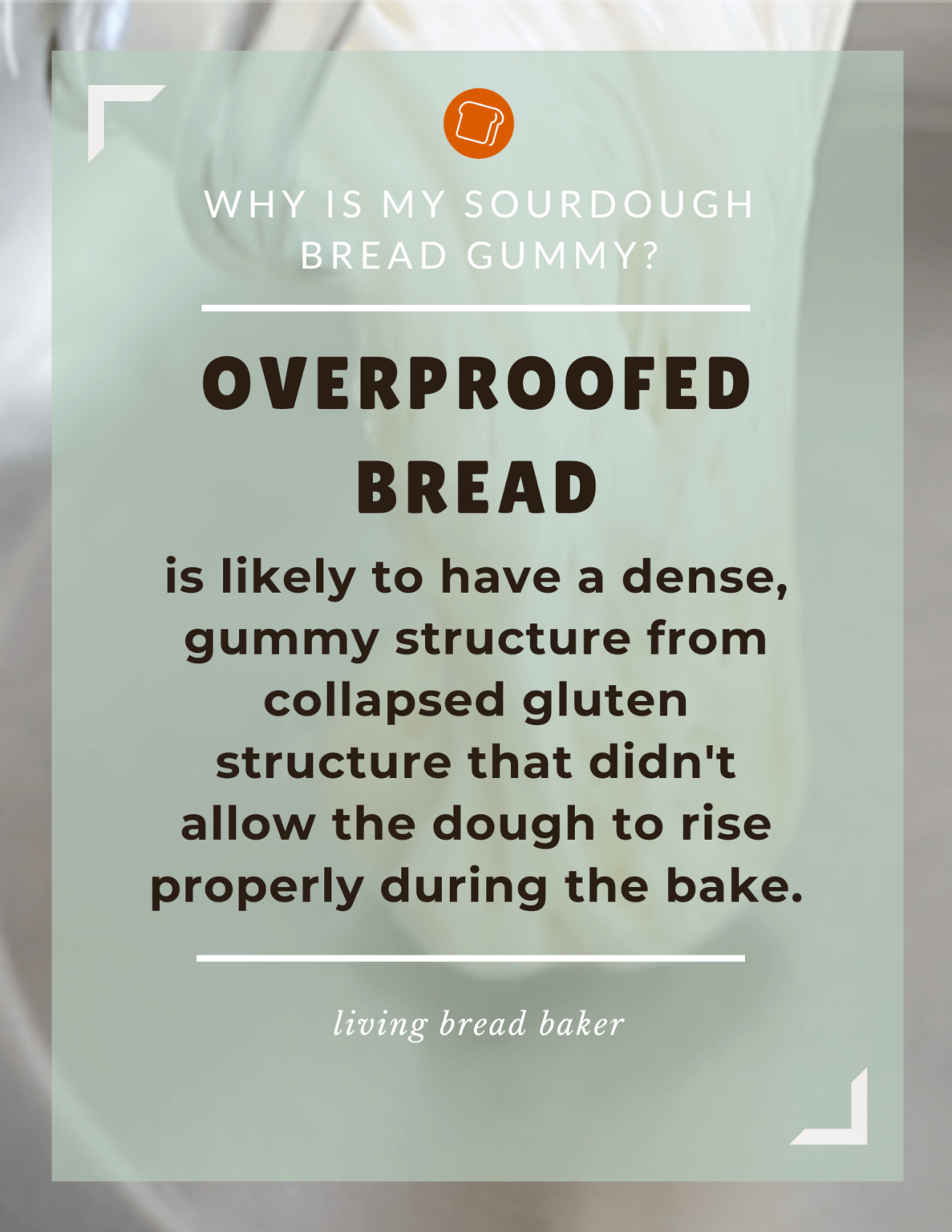 Why Is My Sourdough Bread Gummy? 7 Causes and How to Fix Them - Living ...