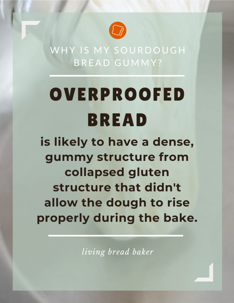 Why Is My Sourdough Bread Gummy? 7 Causes and How to Fix Them - Living ...