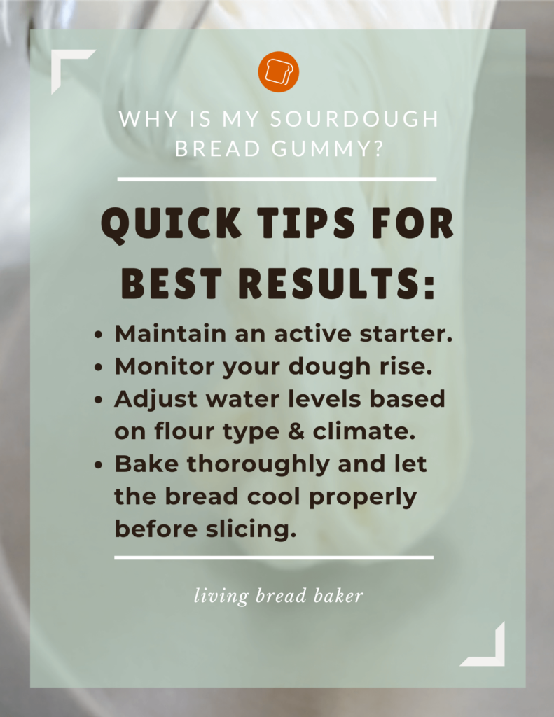 Why Is My Sourdough Bread Gummy? 7 Causes and How to Fix Them - Living ...