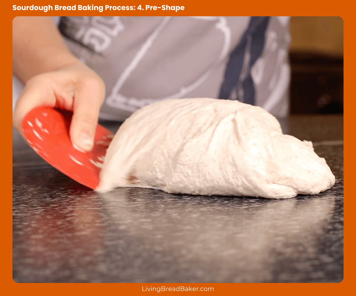 Beginner's Guide to the Sourdough Bread Baking Process - Living Bread Baker