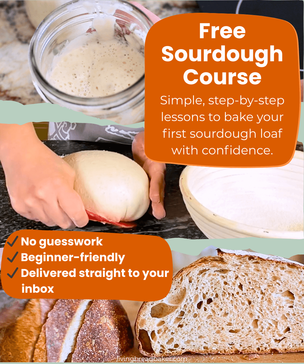 How to tell when sourdough bulk fermentation is done - Living Bread Baker