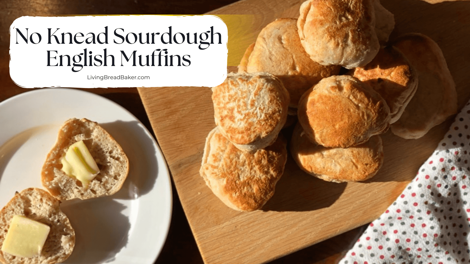 Simple No Knead Sourdough English Muffins - Living Bread Baker